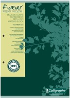 Cursusblok Clairefontaine Forever Calligraphe A4 lijn 2-gaats 200 ...