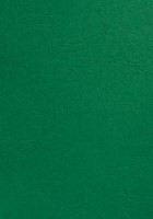 Voorblad GBC A4 lederlook groen 100 stuks Bremer Kantoor Centrum